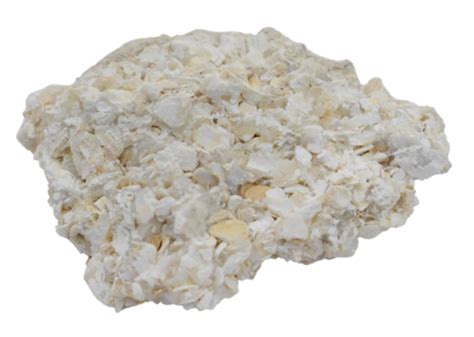 Identifying Sedimentary Rocks Flashcards Quizlet