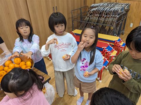 PXL 20231110 032419120 MP 愛育幼稚園ブログ学校法人愛育学園 認定こども園 愛育幼稚園
