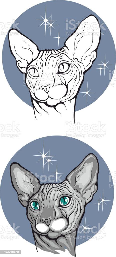 클로즈업 Sphynx 자본가 벡터 일러스트레이션 타투 스타일 고양이 새끼에 대한 스톡 벡터 아트 및 기타 이미지 고양이 새끼