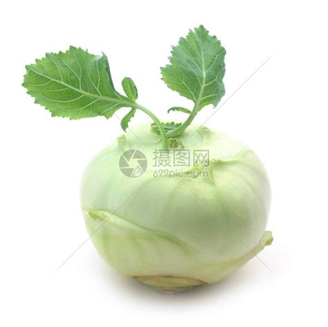 白色背景上隔离的新鲜Kohl高清图片下载 正版图片504285372 摄图网