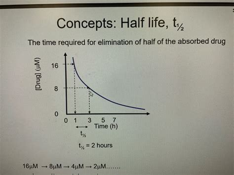 Pharmacokinetics Calculations Flashcards Quizlet