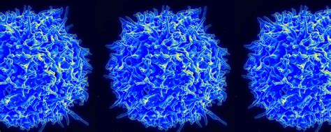 The Evolution Of Cell Therapy Manufacturing Early Days And Present