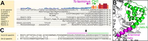 Delineation Of N Terminus A Alignment Of N Terminal Amino Acid