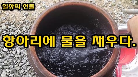 항아리에 물을 채우다 계곡물 Youtube