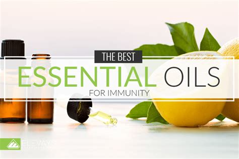 Best Essential Oils For Immune System Support