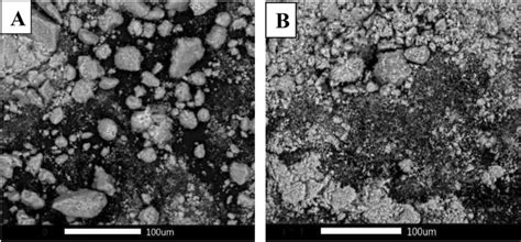 SEM Images Of A Ni TiO2 And B Zn TiO2 Download Scientific Diagram