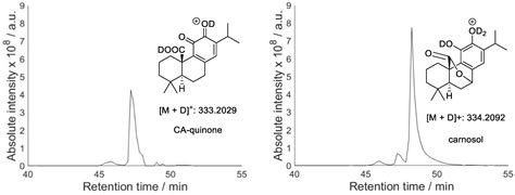 The Role Of Polyphenolic Antioxidants From Tea And Rosemary In The