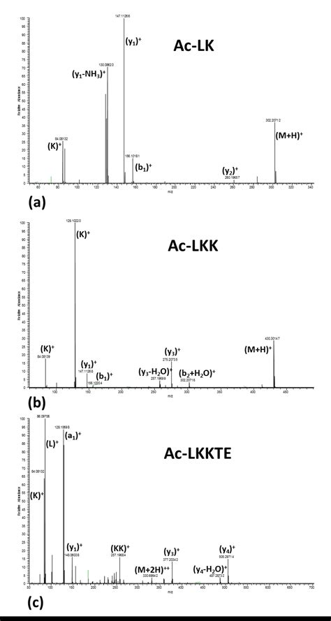 6 Ms Ms Spectra Of The Three Synthesized Tb 500 Metabolites Download Scientific Diagram