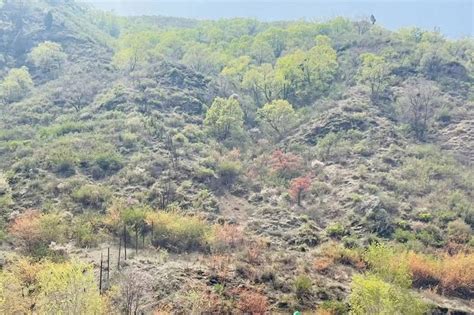 岩霖溪谷 呼和浩特又一绿色露营地5月20日开营 景区 大自然 水库