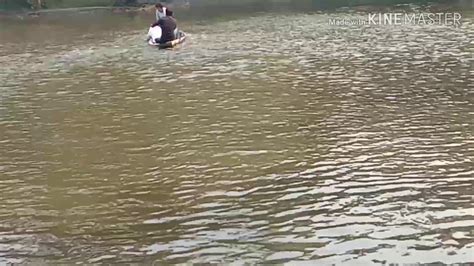Monosex Tilapia Fish Cultureমনোসেক্স তেলাপিয়া মাছ চাষ Youtube