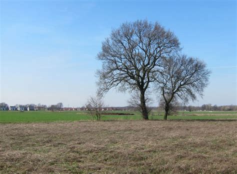 Claussen Seggelke Stadtplaner Bauleitplanung Und Stadtentwicklung