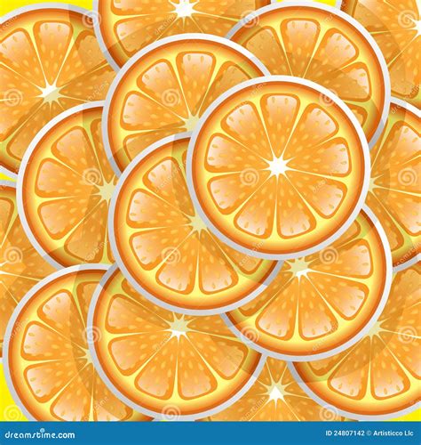 Oranges Slices Pattern Stock Vector Illustration Of Drawing 24807142
