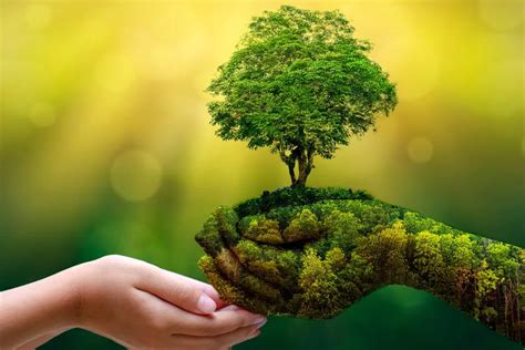 La Sostenibilità Ambientale Guarmosa Cartotecnica