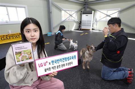 반려견 플랫폼 ‘포동 전문가 훈련 제공해 물림사고 예방한다