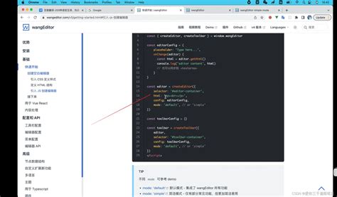 文本 Wangeditor的使用，设置和获取内容，展示html无样式怎么办？？？？console同步展示怎样写vue的配置在vue3