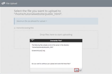 overwrite the files servercake