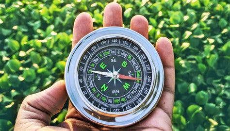 Internal Compass Brains Direction 1600 Futurity