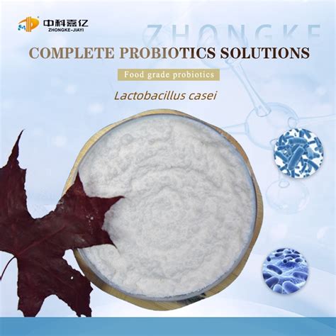 Food Grade Lactobacillus Casei Probiotics For Allergy Improvement