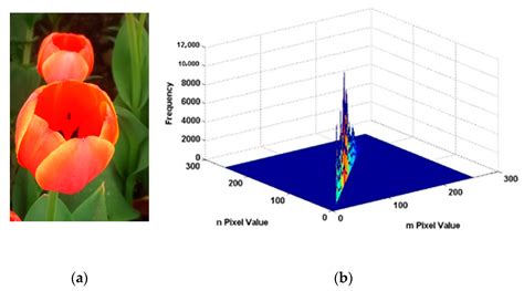 Tone Mapping Of High Dynamic Range Images Combining Co Occurrence