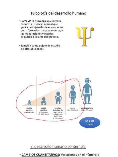 Psicología Del Desarrollo Humano Pdf Adultos Aprendizaje