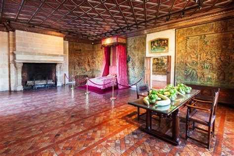 Chateau De Chenonceau Castle Frankrijk Redactionele Stock Afbeelding