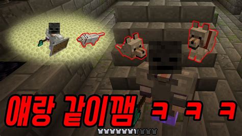 12 강아지 데리고 엔더드래곤 잡기 르마마인크래프트 Youtube