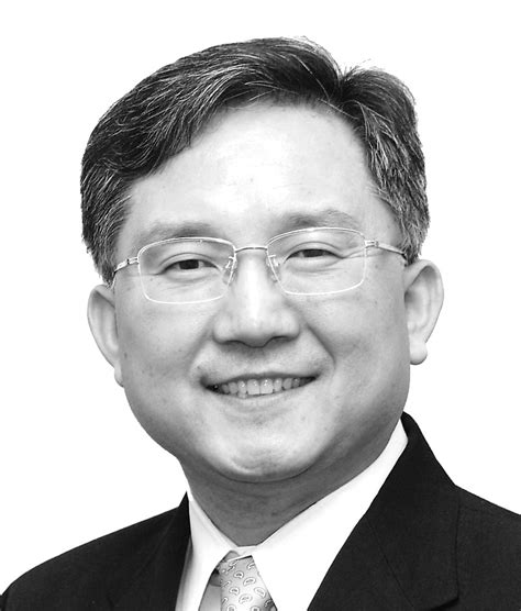 시사 한겨레 ⓘ한마당 목회칼럼 성탄 트리와 생명나무