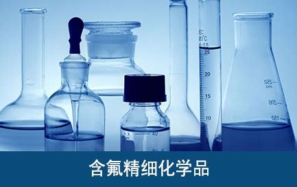 山东东岳未来氢能材料股份有限公司