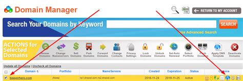 GridPane Point Namesilo Sub Domain To Staging Site BEAVER HERO