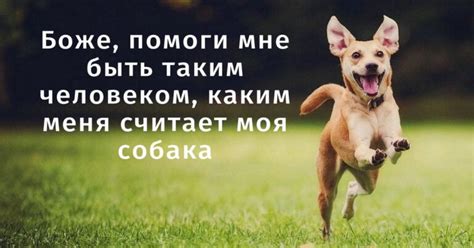 2 июля ДЕНЬ СОБАКИ красивые открытки Поздравления С ДНЕМ СОБАК