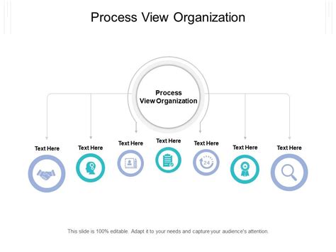 Process View Organization Ppt Powerpoint Presentation Portfolio Guide