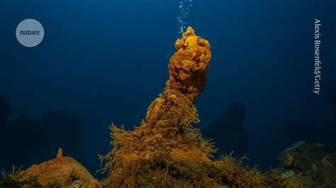 Xavier Berthet On Linkedin Ai Scans Rna ‘dark Matter And Uncovers 70 000 New Viruses