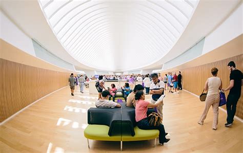 Una Biblioteca Sin Libros
