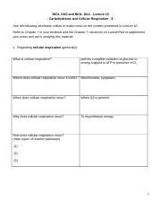 BIOL Lecture Carbohydrates And Cellular Respiration WF Notes Docx BIOL And BIOL