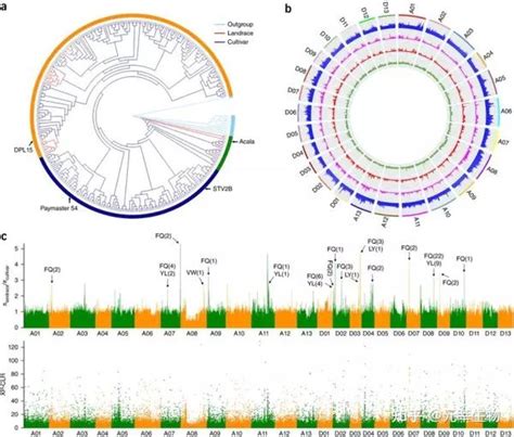 动植物性状定位 Gwas 知乎