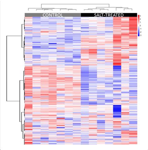 Heatmap Displaying Similarities Between Biological Samples Organized Download Scientific