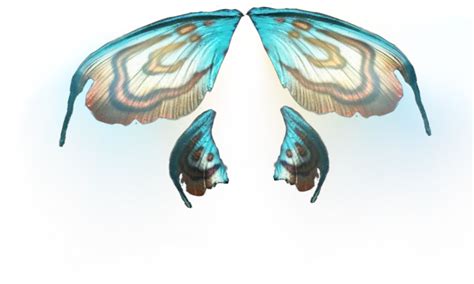 Download Butterfly Wing Fairy Design | Wallpapers.com
