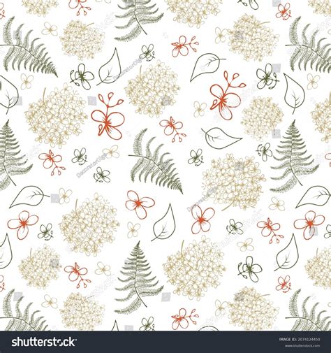Hydrangea Fern Pattern Style Doodle Stock Illustration 2074124450