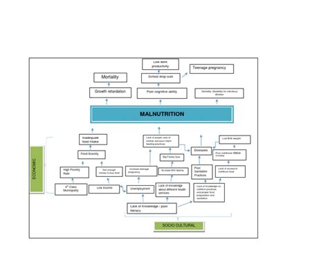 Problem Tree Analysis Malnutrition Pdf Malnutrition Poverty