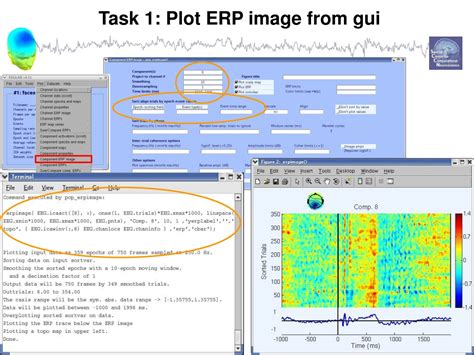 ppt more eeglab scripting powerpoint presentation free download id