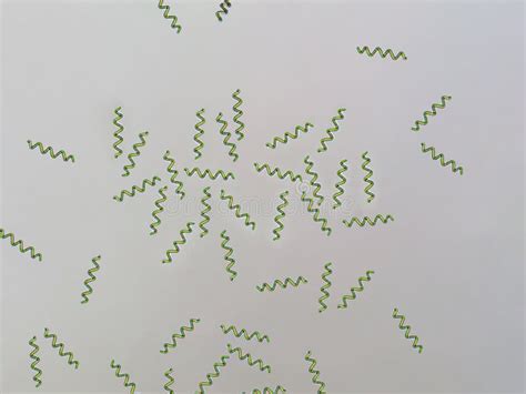 Spirulina Under The Microscope Stock Image Image Of Biology Nature 186804995