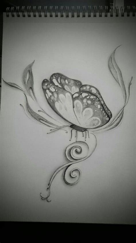 Drawing Buterfly Schizzi Darte Schizzi Arte