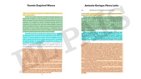 La Ministra Yasmín Esquivel Plagió En Su Tesis De Doctorado El PaÍs