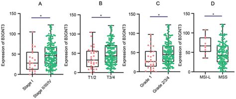 B3GNT3 A Prognostic Biomarker Associated With Immune Cell Infiltration In Pancreatic Adenocarcinoma