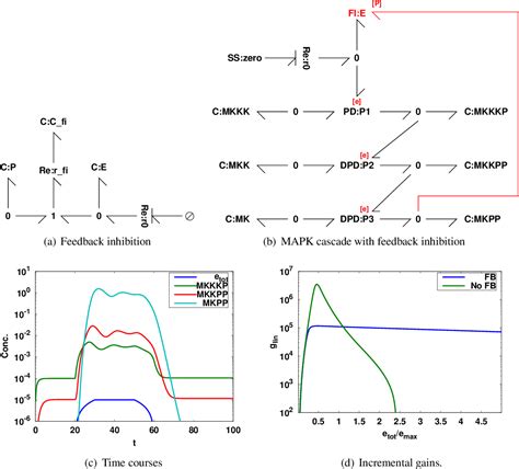 Figure 1 From Modular Bond Graph Modelling And Analysis Of Biomolecular Systems Semantic Scholar