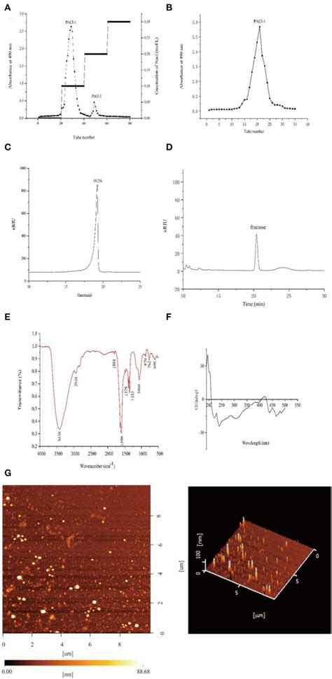 Optimisation Of The Production Of A Selenium Enriched Polysaccharide