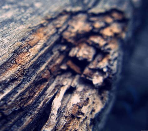 What Is A VCPU And How To Calculate VCPU Requirements Never Open Always Closed