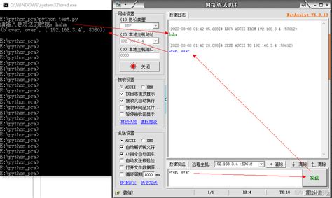 python实现udp接收数据 python udp接收 mob64ca14154457的技术博客 51cto博客