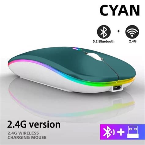 Souris Souris Optique Sans Fil Aste Par USB Silencieuse Ergonomique Pour PC Et Ordinateur