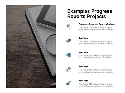 Examples Progress Reports Projects Ppt Powerpoint Presentation Styles